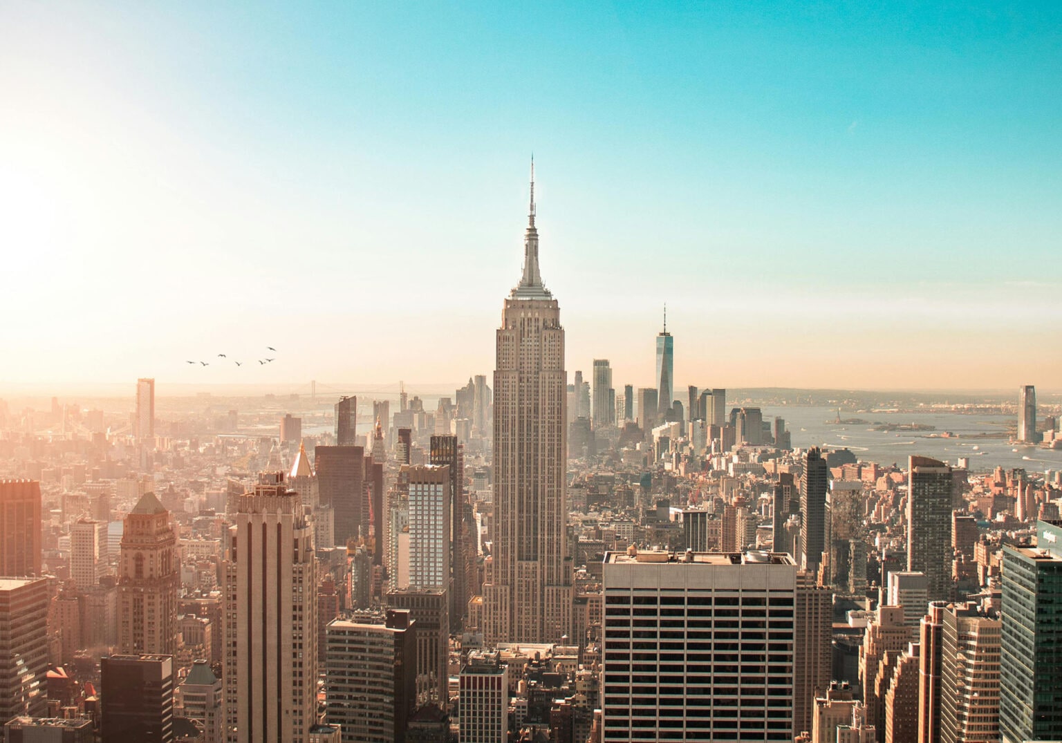 Understanding Accessibility: Notable Changes in the 2022 New York City ...